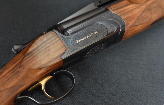 Perazzi - Coombe Farm