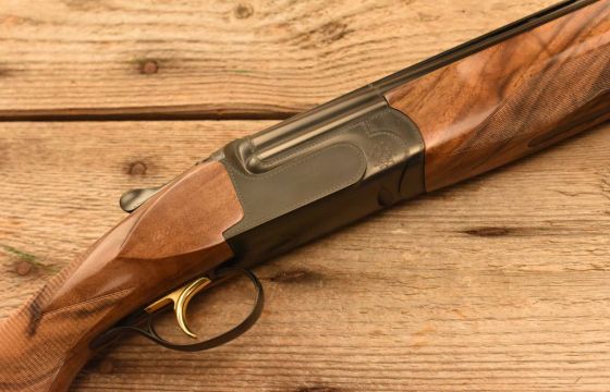 Perazzi - Coombe Farm