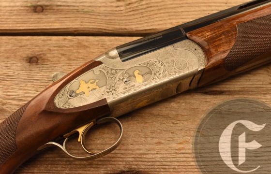 Bettinsoli - Coombe Farm